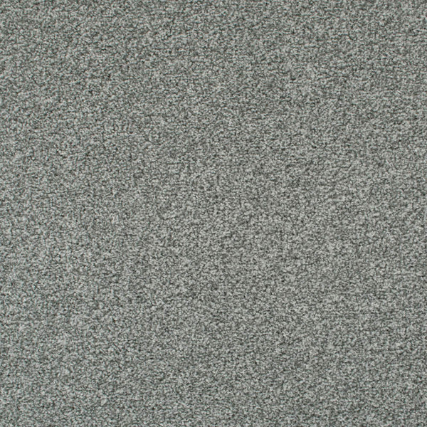 Chic Shadow 91 Tuftex Twist Carpet Clearance | AW | Online Carpets