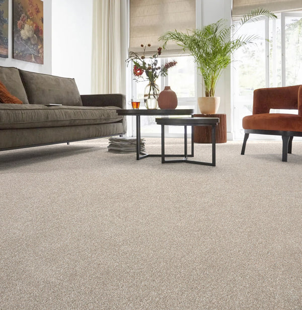Madrid Saxony Carpet | Quality Saxony Carpet Online | Online Carpets