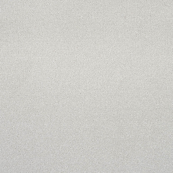 Alloy Grey Primo Plus Carpet | Cormar Carpet | Online Carpets