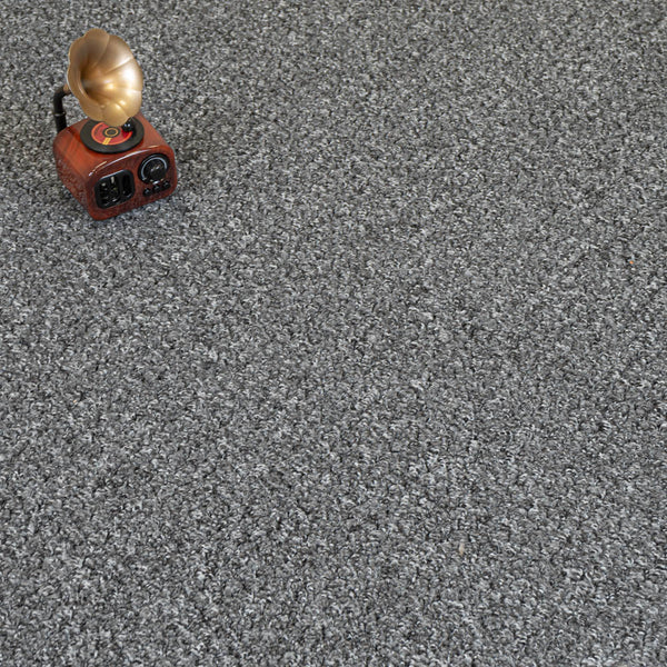 Anthracite 5927 Alabama Loop Carpet | Loop Carpets | Online Carpets