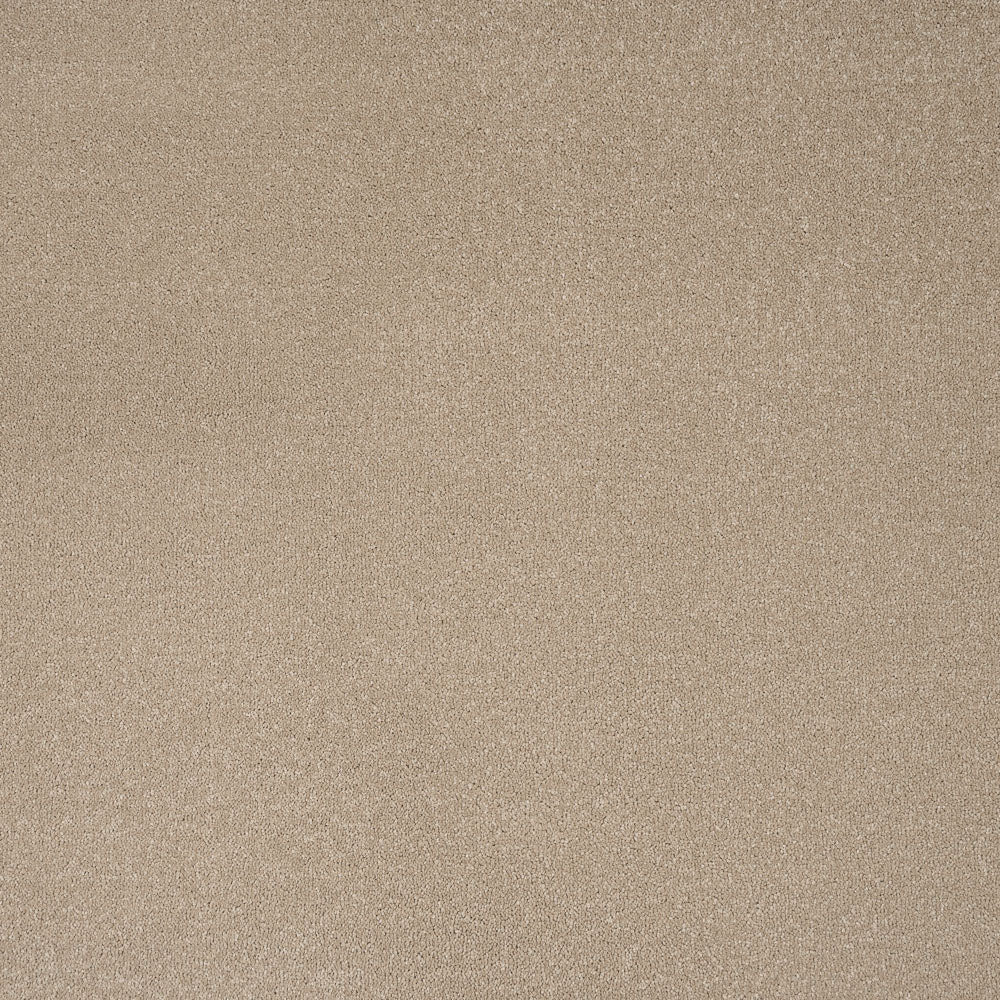 Stainfree Ultra Carpet | Buy Abingdon Carpets Online | Online Carpets
