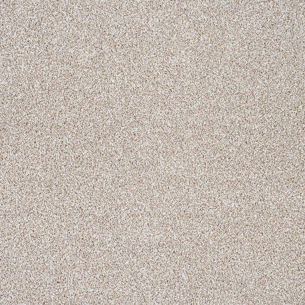 Autumn Mist 04 StainGuard Harvest Heathers Carpet | Online Carpets