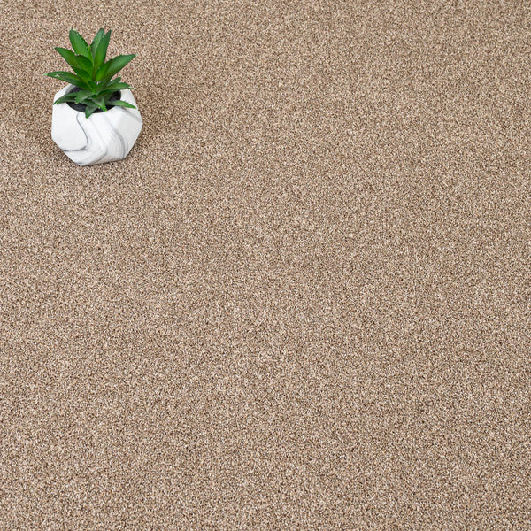 Autumn Trail Trinity Carpet | Cormar Carpet | Online Carpets