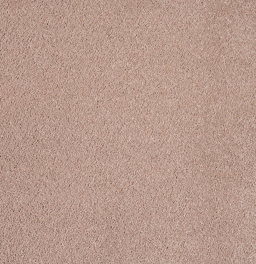 Bedtime 38 Ultimate Andromeda Invictus Carpet | AW | Online Carpets