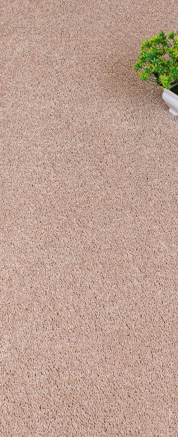 Bedtime 38 Ultimate Andromeda Invictus Carpet | AW | Online Carpets