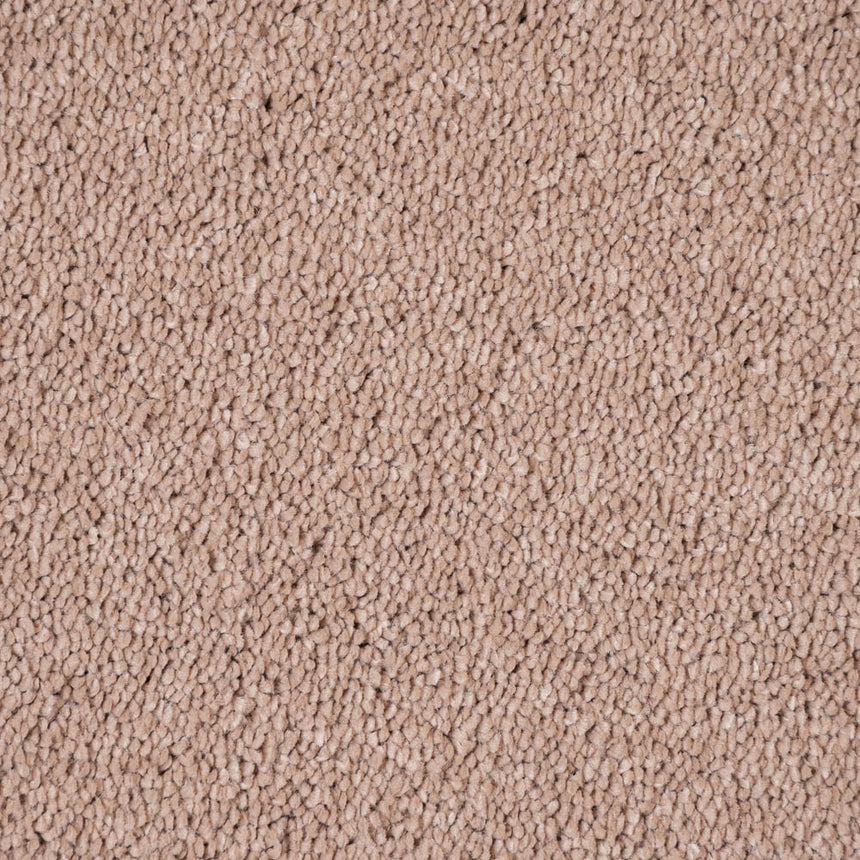 Bedtime 38 Ultimate Andromeda Invictus Carpet | AW | Online Carpets