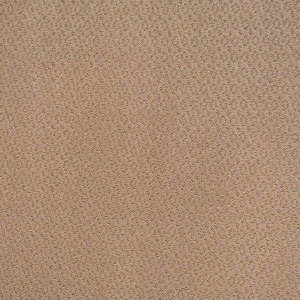 Image Result For Light Beige Carpet Samples Carpet Sun Light Beige