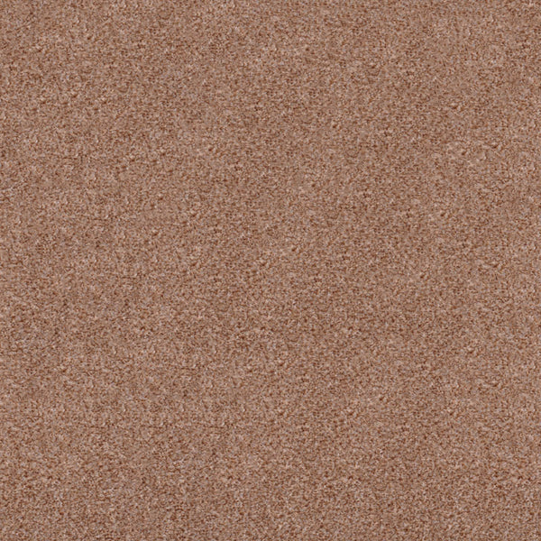 Biscuit 918 Dublin Heather Twist Actionback Carpet | Cheap Carpets ...