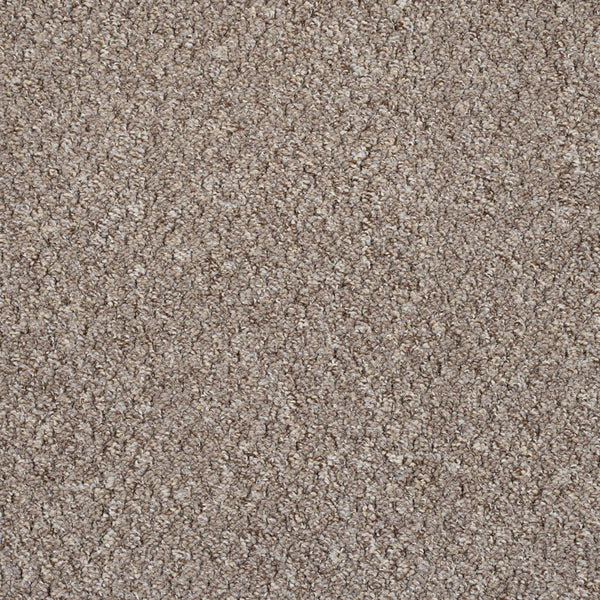 Alabama Loop Carpet | Felt Back Loop Carpet Online | Online Carpets