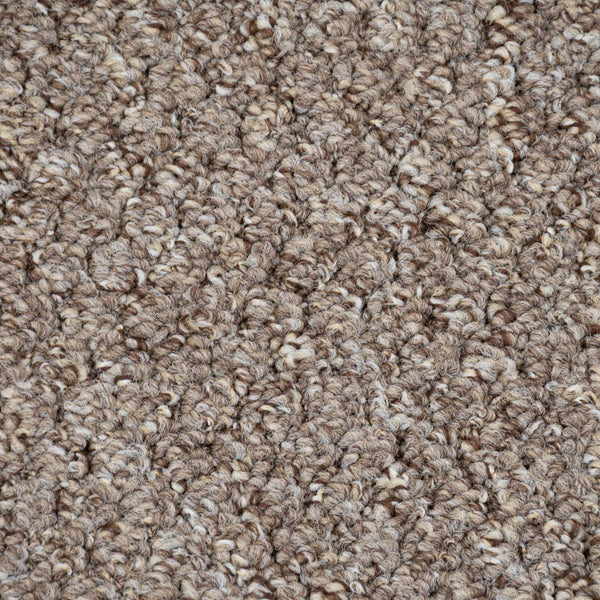Brown Beige 5915 Alabama Loop Carpet | Loop Carpets| Online Carpets