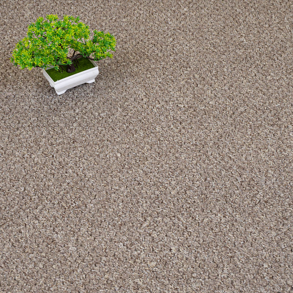 Brown Beige 5915 Alabama Loop Carpet | Loop Carpets| Online Carpets