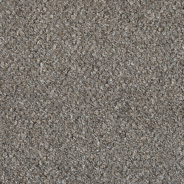 Alabama Loop Carpet | Felt Back Loop Carpet Online | Online Carpets