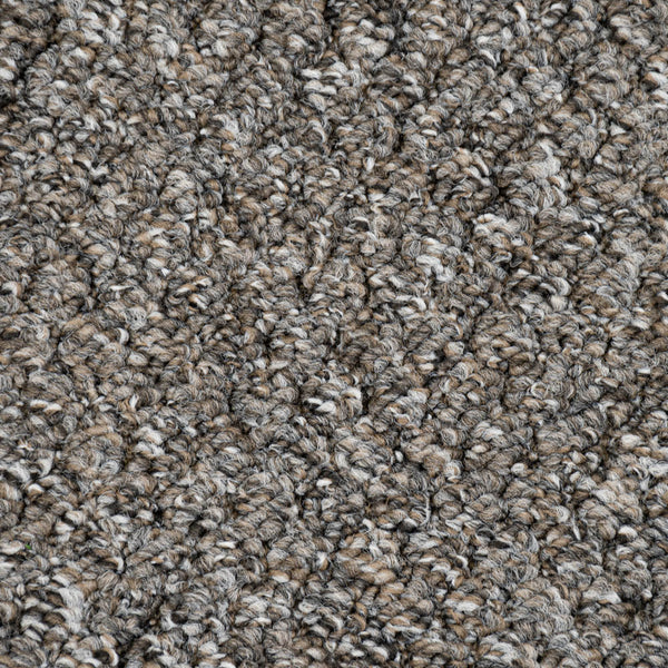 Brown Grey 5519 Alabama Loop Carpet | Loop Carpets Online | Online Carpets