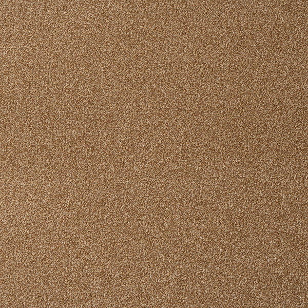 Apollo Plus Carpet | Buy Apollo Plus Carpets Online | Online Carpets