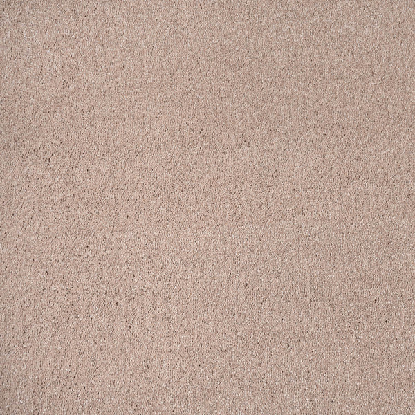 Carnation 38 Orion 50oz Invictus Carpet | Invictus | Online Carpets