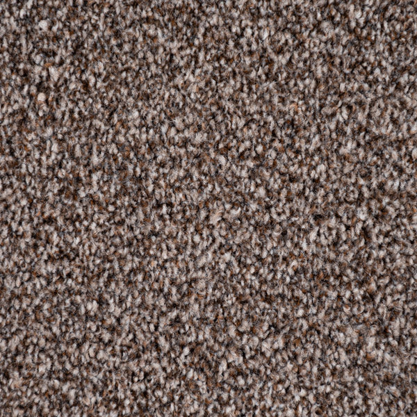Chocolate Brown Versailles Twist Carpet| Twist Carpet | Online Carpets