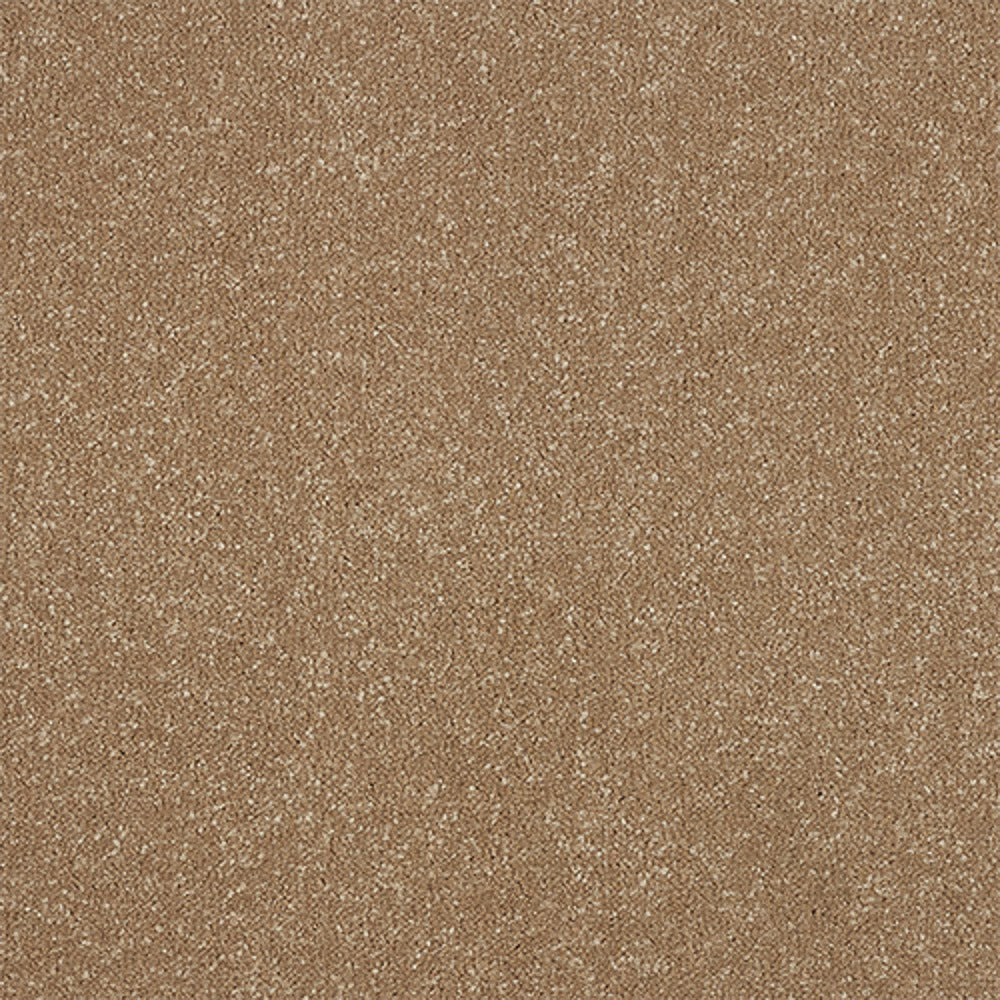 Stainfree Ultra Carpet | Buy Abingdon Carpets Online | Online Carpets