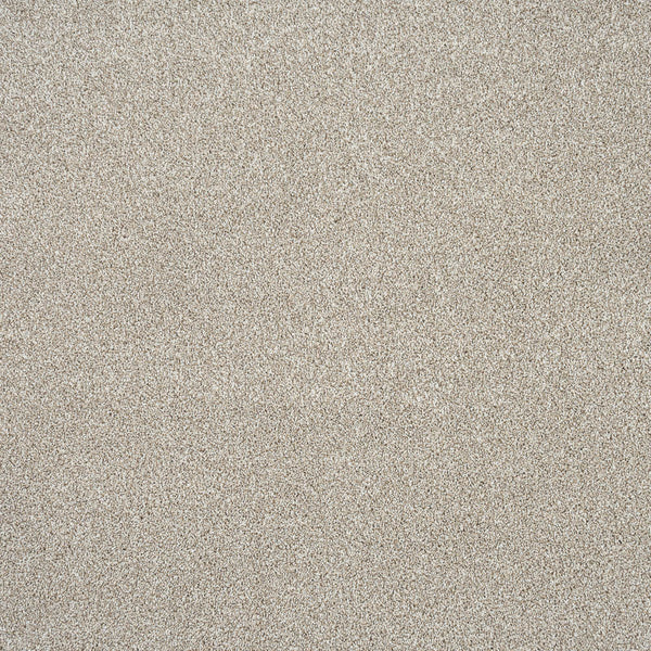 Stainfree Rustique Saxony Carpet | Abingdon Flooring | Online Carpets