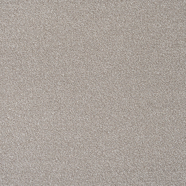 Country Life Stainfree Rustique Ultra Carpet | Online Carpets