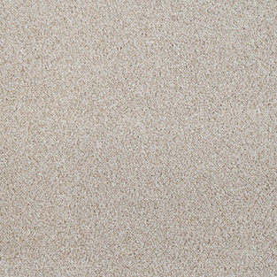 Buy Cream Carpets Online | Ivory Carpets | Online Carpets