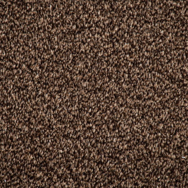 Dark Brown Catalonia Saxony Carpet | Luxury Carpet | Online Carpets