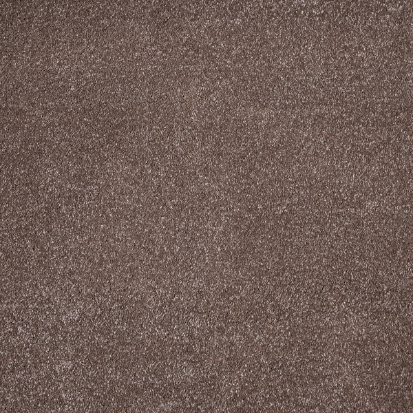 Sirius 70oz Invictus Carpet | Buy Invictus Carpets Online ...