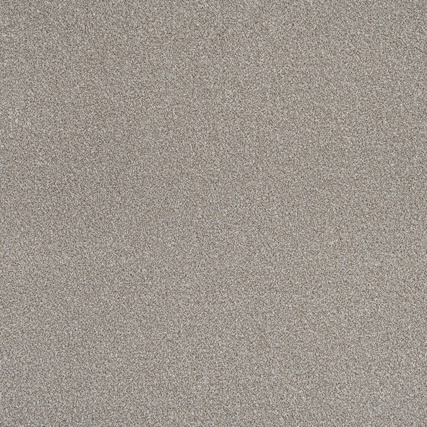 Driftwood Stainfree Rustique Ultra Carpet | Abingdon | Online Carpets