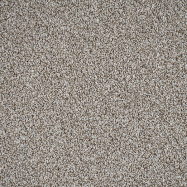 Driftwood Stainfree Rustique Ultra Carpet | Abingdon | Online Carpets
