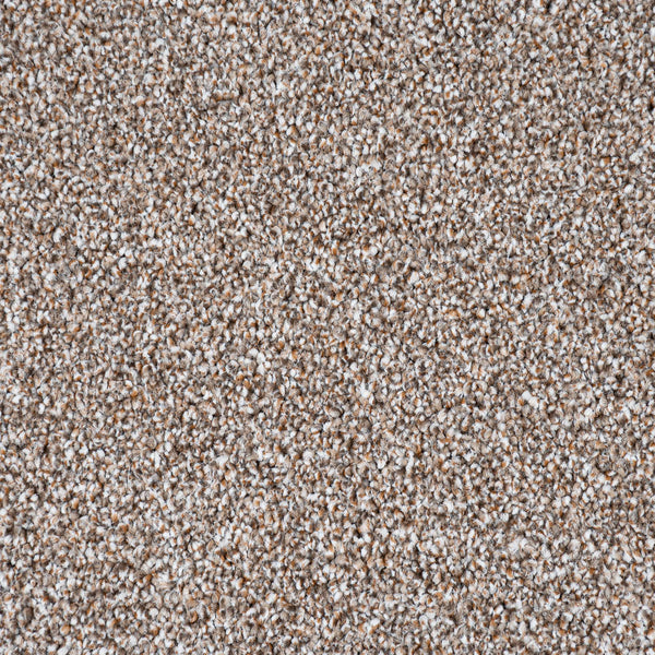 Driftwood Trinity Carpet | Cormar Carpet | Online Carpets