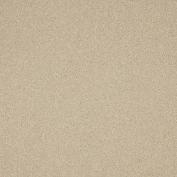 Ecru Primo Plus Carpet | Luxury Cormar Carpet | Online Carpets