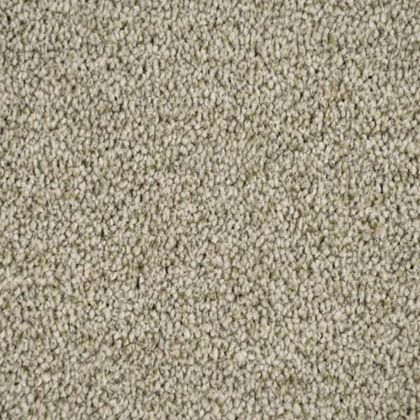 Fern 20 Darius 50oz Invictus Carpet | AW Carpets | Online Carpets