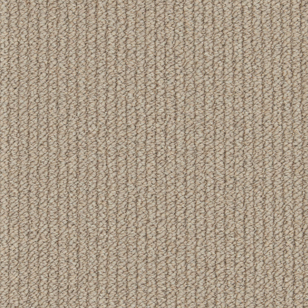 Primo Textures Loop Carpet | Buy Cormar Carpet Online | Online Carpets