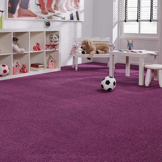 Purple Carpet | Lilac & Violet Purple Carpets | Online Carpets