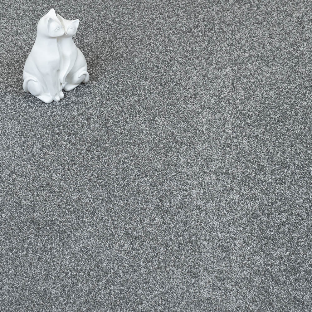 Graphite Color Carpet