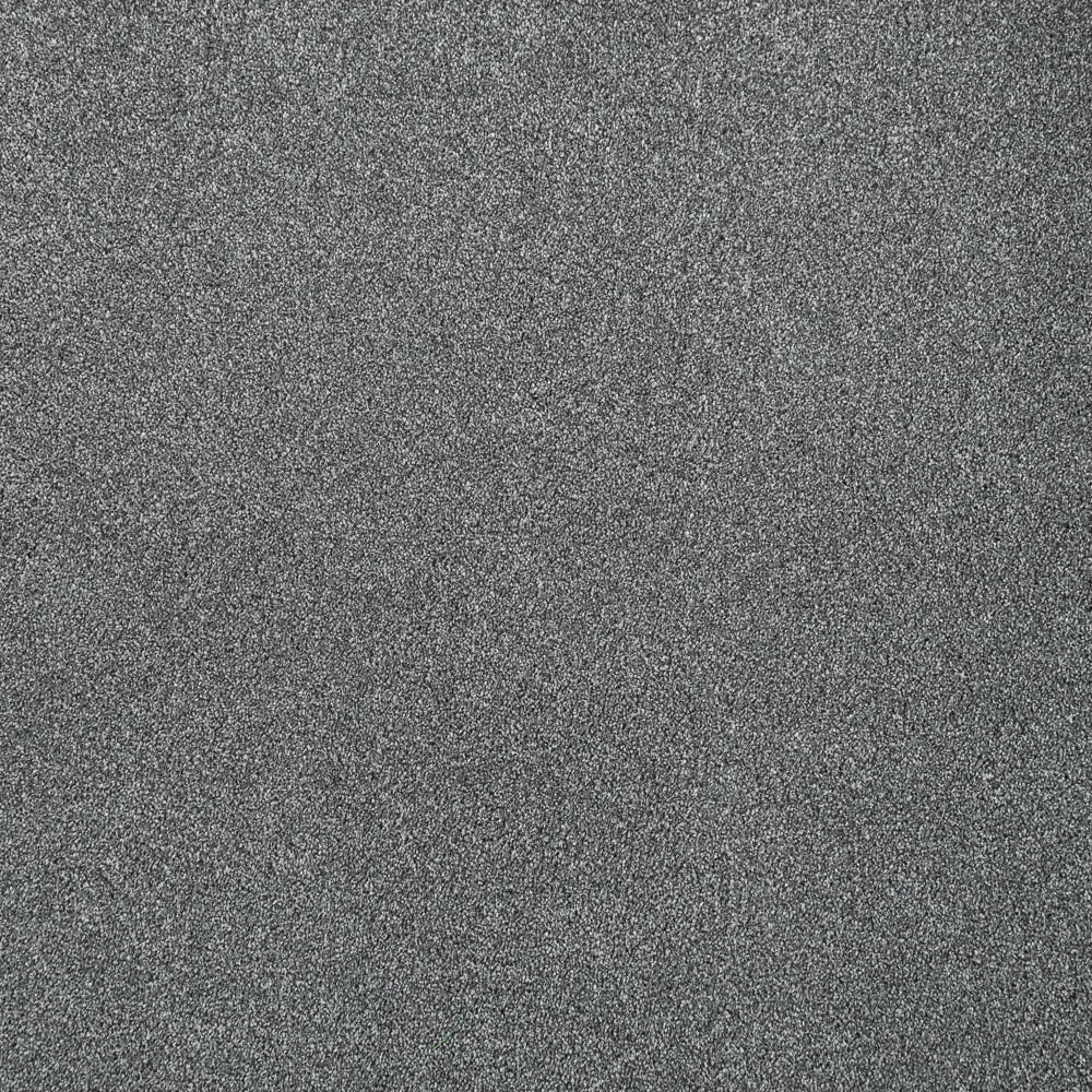 Graphite Grey Dunham Saxony Carpet | Luxury Carpets | Online Carpets