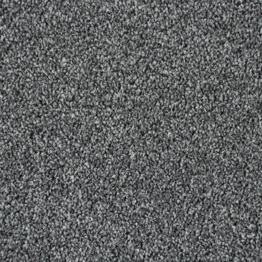 Graphite Grey Dunham Saxony Carpet | Luxury Carpets | Online Carpets
