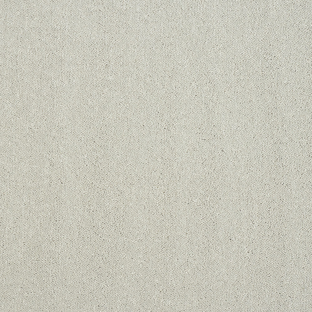 Pure Elegance Carpet | Abingdon Carpets | Online Carpets