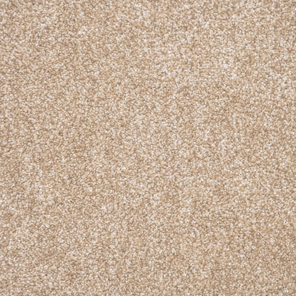 Ignis Carpet | Twist Carpet Clearances Online | Online Carpets