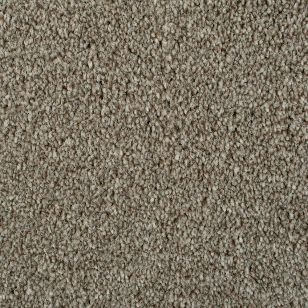 Light Brown Aspire Twist Carpet Remnant | Online Carpets