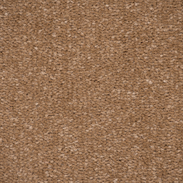 Light Brown Solaris Twist Carpet | Buy Twist Carpets | Online Carpets