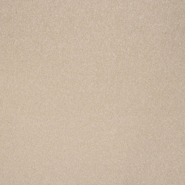 Pure Elegance Carpet | Abingdon Carpets | Online Carpets