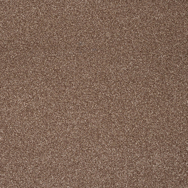 Mahogany Apollo Plus Carpet | Buy Apollo Plus Carpets Online ...