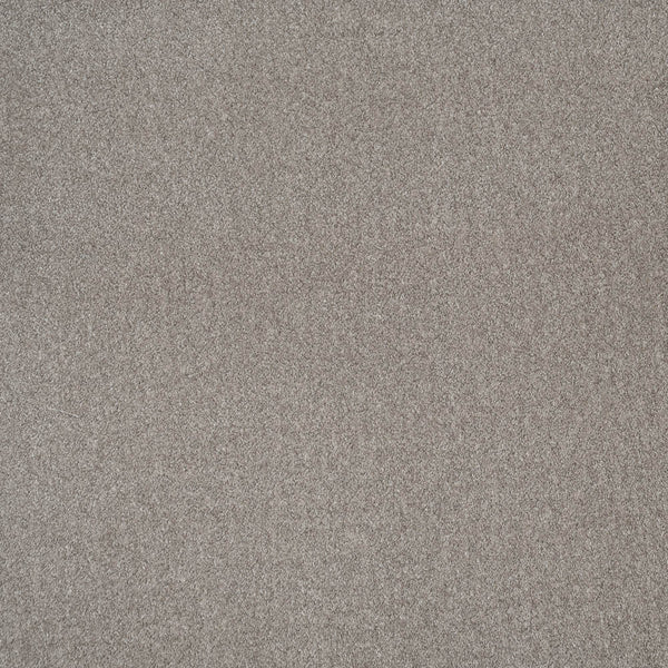 iSense Obsession Carpet | Buy Associated Weavers Carpets Online ...