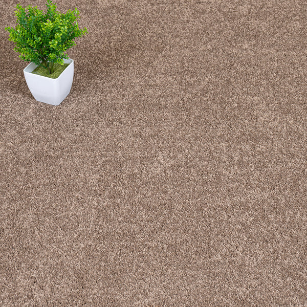Mocha Maverick Saxony Carpet | Soft Polyester Carpet | Online Carpets