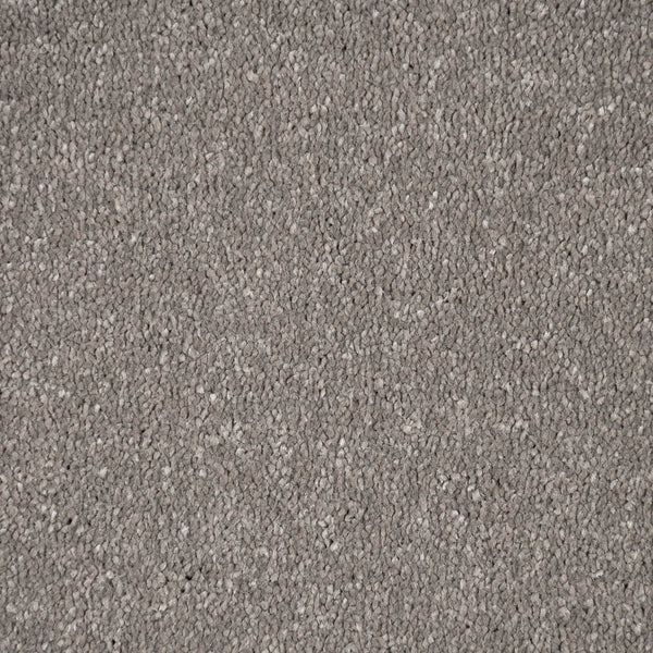 Mocha Stainfree Caress Carpet | Abingdon Carpets | Online Carpets