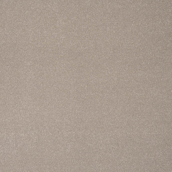 Pure Elegance Carpet | Abingdon Carpets | Online Carpets