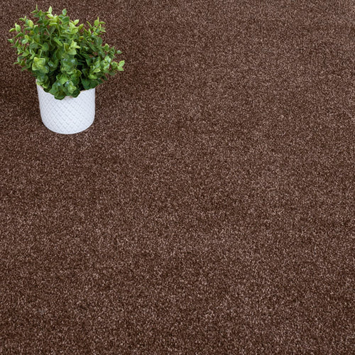 Brown Beige Alabama Loop Carpet | Loop Carpets| Online Carpets
