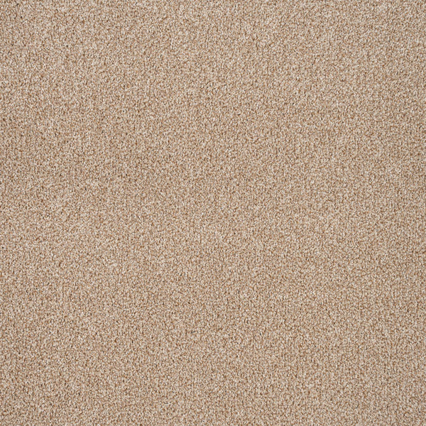 Oatmeal 33 StainAway Harvest Heathers Deluxe Carpet | Buy Associated ...