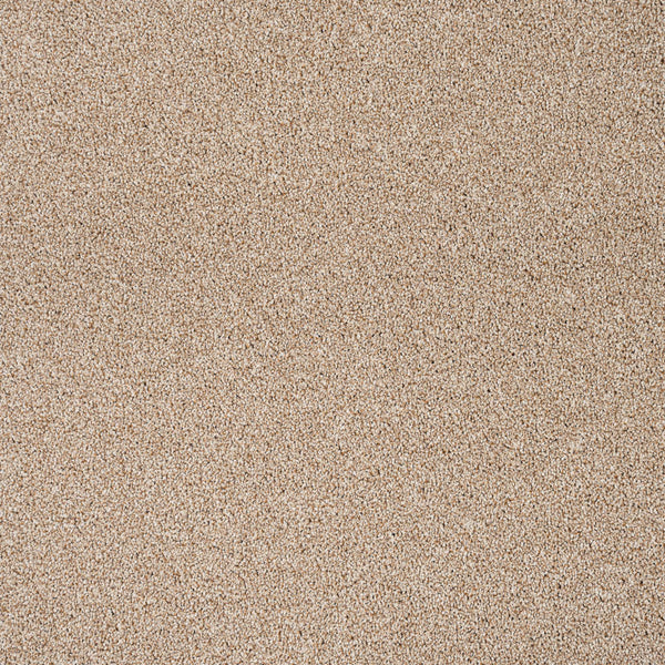 StainGuard Harvest Heathers Supreme | AW Carpets | Online Carpets