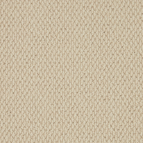 Primo Textures Loop Carpet | Buy Cormar Carpet Online | Online Carpets